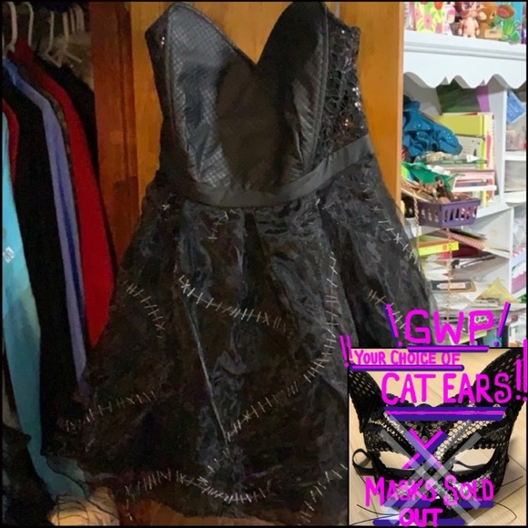 DC Comics | Dresses | Dc Comics Hot Topic Catwoman Formal Dress Limited ...